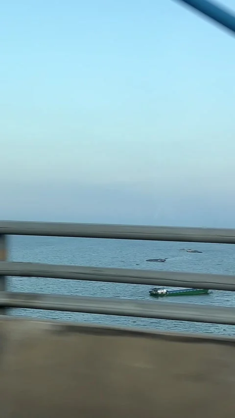 My Mornin Stock Videos – Royalty-Free HD & 4K Videos | Pond5