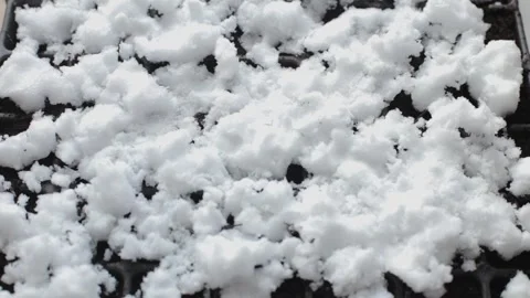 Women Hobby Stock Videos – Royalty-Free HD & 4K Videos