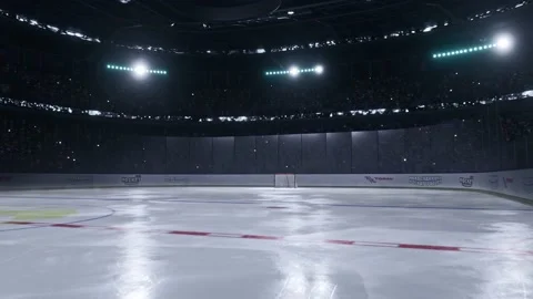 hockey arena with animated funs 3d video... | Stock Video | Pond5