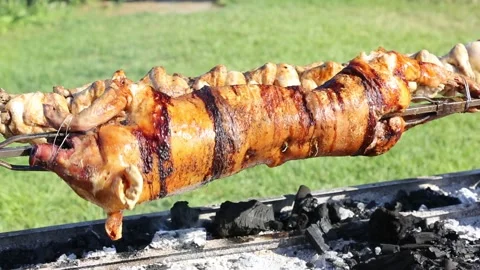 A hog roast and cooking chickens on a ch... | Stock Video | Pond5