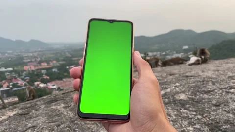 Holding phone vertical view with green s... | Stock Video | Pond5