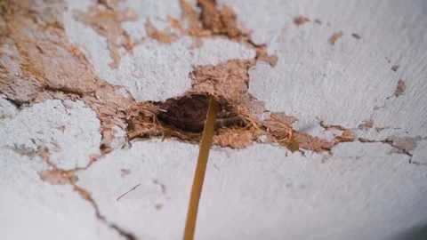 A hole in the clay ceiling with a protru... | Stock Video | Pond5