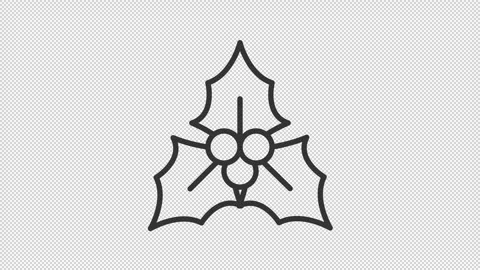 Holly Berries Videos Stock Videos – Royalty-Free HD & 4K Videos