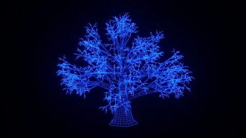 Holographic Beech Tree Growth 3D Animati... | Stock Video | Pond5