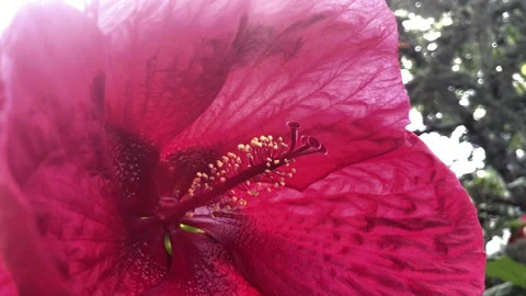 Holy Soil Stock Footage ~ Royalty Free Stock Videos | Pond5