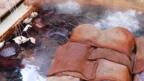holy offerings cooked in natural hot spr... | Stock Video | Pond5