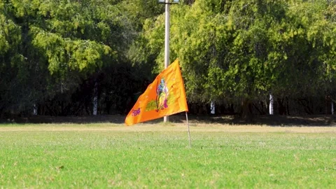 Back Ground Greeen Stock Footage ~ Royalty Free Stock Videos | Pond5