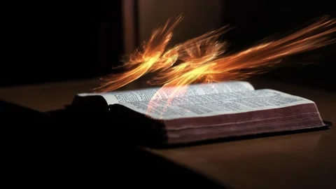 Holy Spirit hovering over open Bible | Stock Video | Pond5