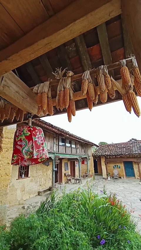 L Lolo Stock Videos – Royalty-Free HD & 4K Videos