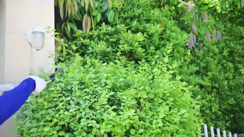 Secure Lock Down Stock Videos – Royalty-Free HD & 4K Videos | Pond5