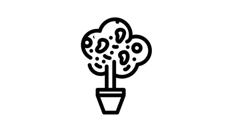 Animated Mango Tree Stock Videos – Royalty-Free HD & 4K Videos | Pond5