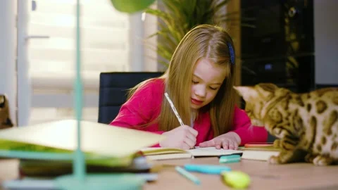Girl Doing Homework Stock Videos – Royalty-Free HD & 4K Videos