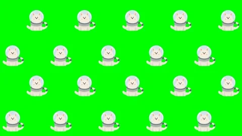 Greenscreen Animals Stock Video Footage | Royalty Free Greenscreen ...