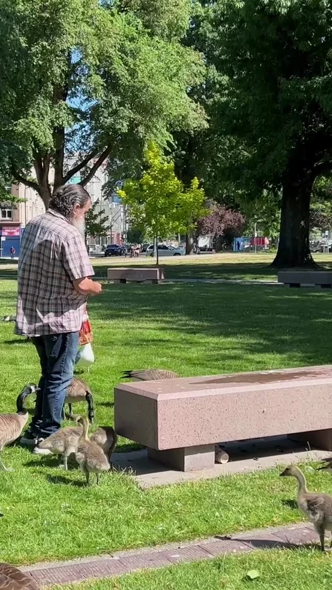 Kshared Illegal Videos Stock Videos – Royalty-Free HD & 4K Videos | Pond5