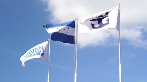 Honduras Roatan and royal caribbean Flag... | Stock Video | Pond5