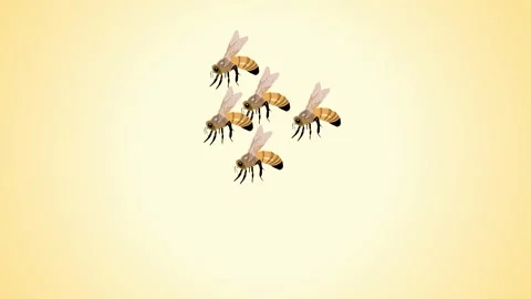 honey bees background and 2d animation, ... | Stock Video | Pond5