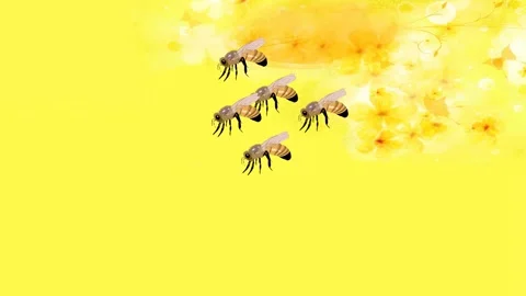 honey bees background and 2d animation, ... | Stock Video | Pond5