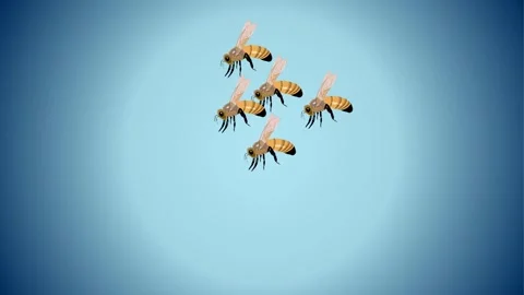 honey bees background and 2d animation, ... | Stock Video | Pond5