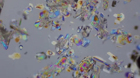Honey crystals under polarized light mic... | Stock Video | Pond5