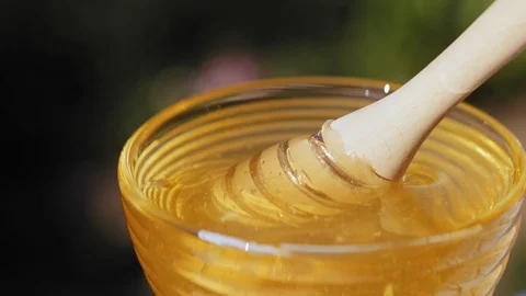 Honey. Dripping honey. Extraction honey ... | Stock Video | Pond5