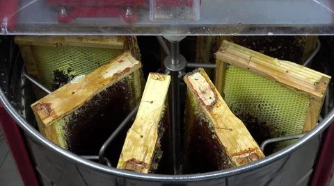 honey extraction by centrifugal force | Stock Video | Pond5