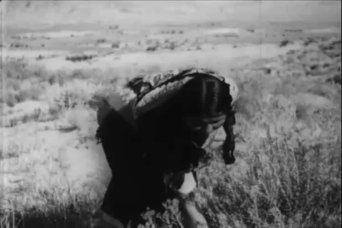 A Hopi Indian woman collects rabbitbrush... | Stock Video | Pond5