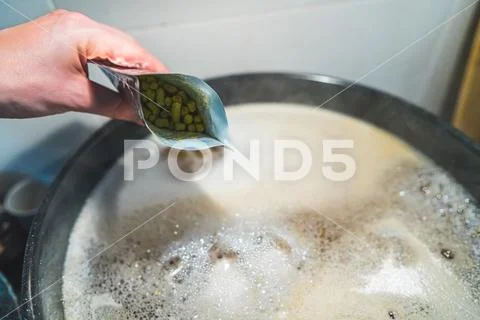 Hopping for bitterness, adding hops pellets to water and malt ~ Premium ...