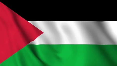 Horizontal waving Palestine Flag video b... | Stock Video | Pond5