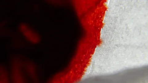 Blood Blood Horror Stock Video Footage | Royalty Free Blood Blood ...