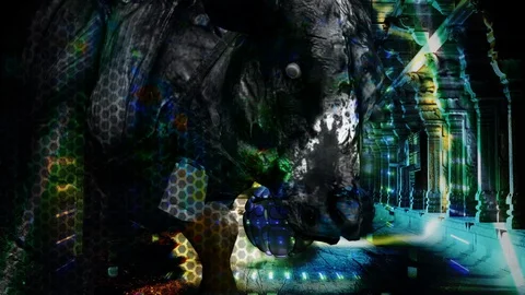 Horror Cow Stock Videos – Royalty-Free HD & 4K Videos