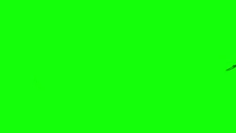 Horror Green Screen Stock Videos – Royalty-Free HD & 4K Videos