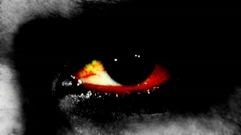 Eye Anatomy Vintage Stock Video Footage | Royalty Free Eye Anatomy ...