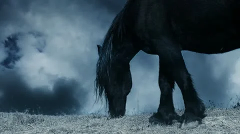 Horror Movie Scene - The Horse | Stock Video | Pond5