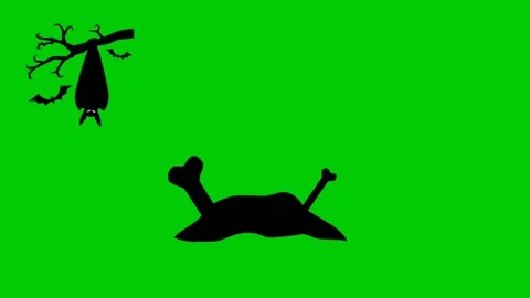 Horror Green Screen Stock Video Footage | Royalty Free Horror Green ...