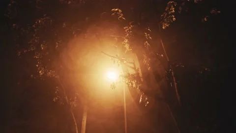 Horror scene movie. Cinematic and myster... | Stock Video | Pond5