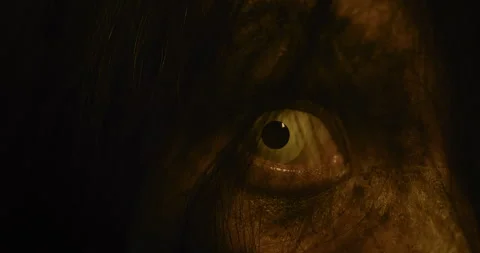 Horror Scary Eyes Stock Videos – Royalty-Free HD & 4K Videos | Pond5