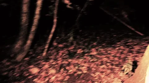 Horror Color Grading Stock Video Footage | Royalty Free Horror Color ...