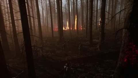 Zombie Forest Background