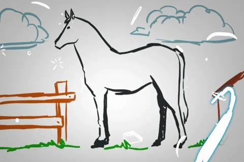 Horse - Animation - outline - White Back... | Stock Video | Pond5