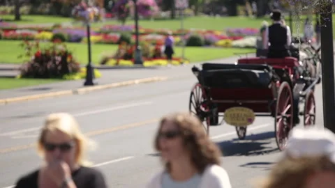 Horse Drawn Carriage Going Down Road in ... | Stock Video | Pond5