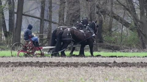 Horse Drawn Plow Ploughing a Field with ... | Stock Video | Pond5