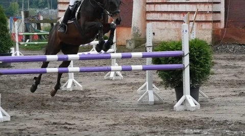 Horse is galloping and jumping through a... | Stock Video | Pond5