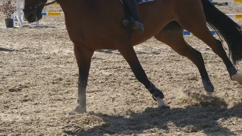 Horse is galloping and jumping through a... | Stock Video | Pond5