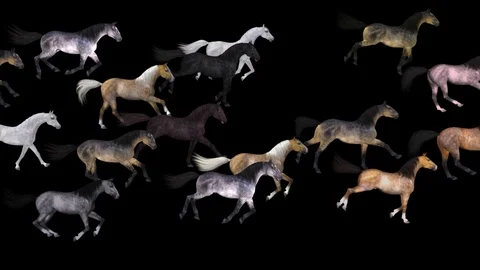 Horse Herd - Random Run - 4K Loop - Alph... | Stock Video | Pond5