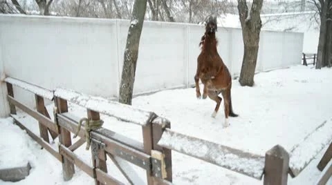 Picture Farm Stock Videos – Royalty-Free HD & 4K Videos