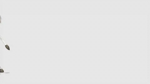 Peeps Channel Stock Videos – Royalty-Free HD & 4K Videos