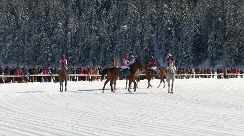 Horse Race Slow Motion Stock Footage ~ Royalty Free Stock Videos | Pond5