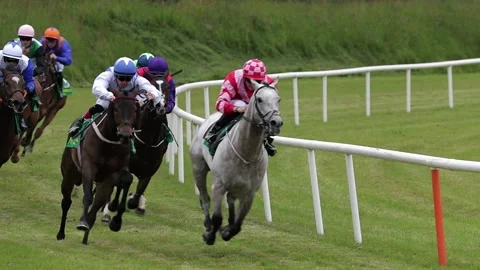 Horse Race Slow Motion Stock Footage ~ Royalty Free Stock Videos | Pond5