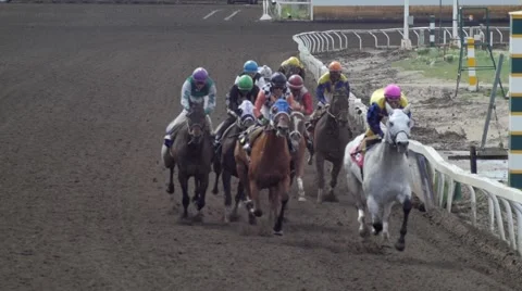 Edmonton Alberta Stock Video Footage | Royalty Free Edmonton Alberta ...