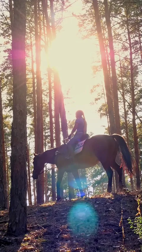 Woman Breeds Horse Stock Videos – Royalty-Free HD & 4K Videos | Page 2